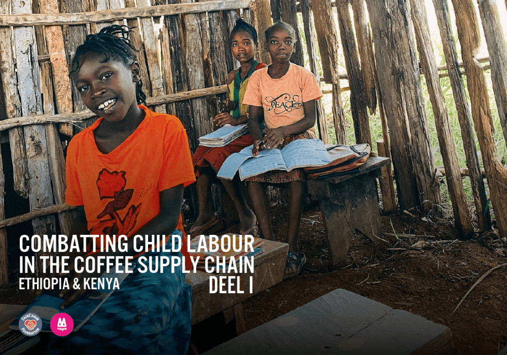 Child labour reports – Moyee Coffee